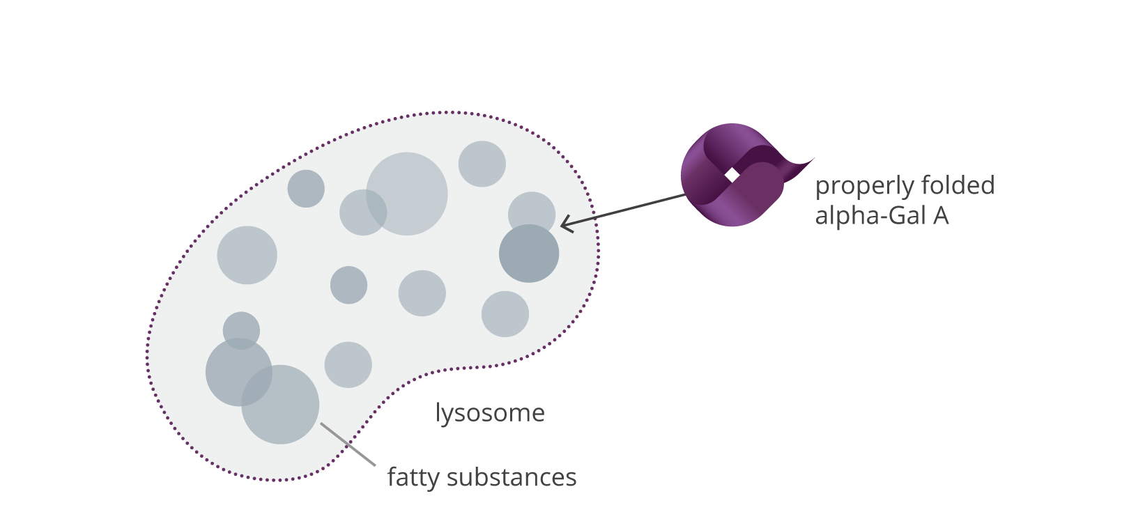 Fabry disease | What you need to know